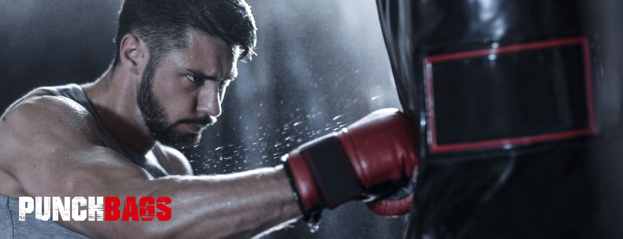 Max Strength: Elevate Your Fitness Journey with Premium Equipment ...